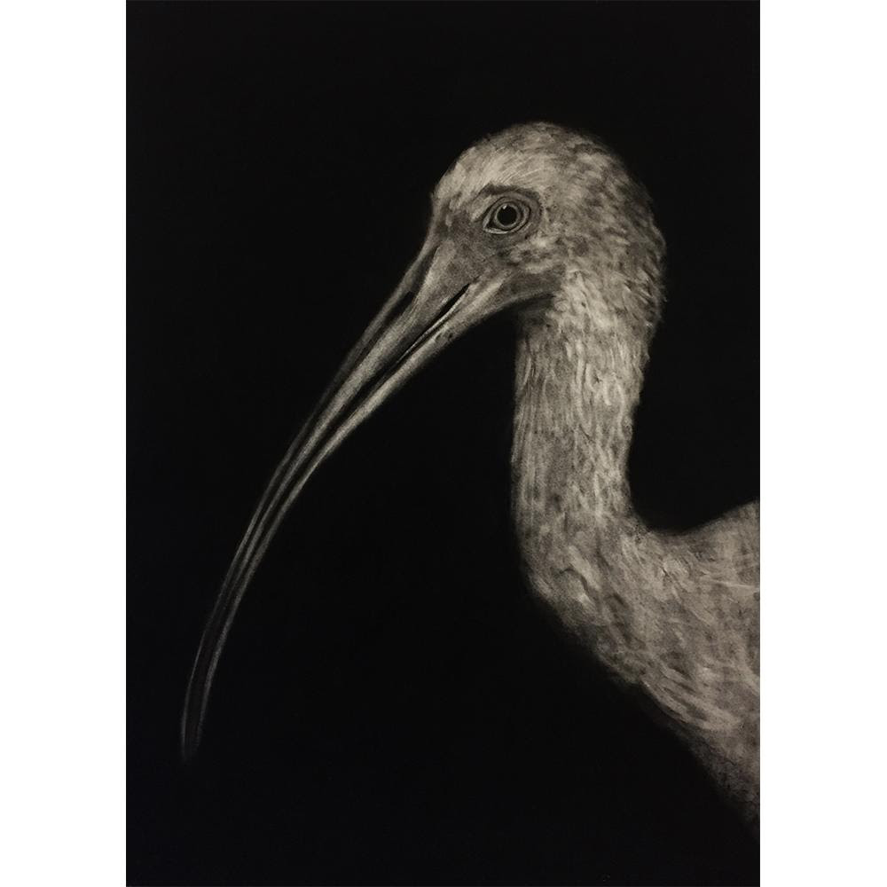 Current Exhibition – emmanuelbarbault
